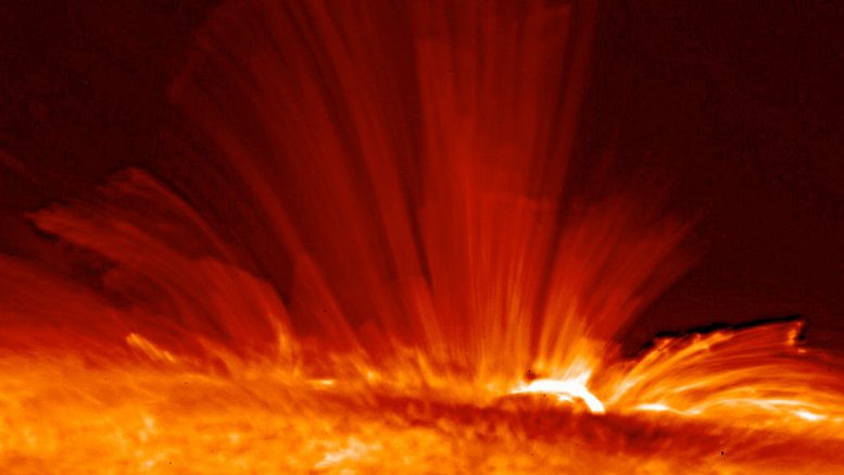 Astronomers Uncover Origins of the Sun’s Swirling Spicules