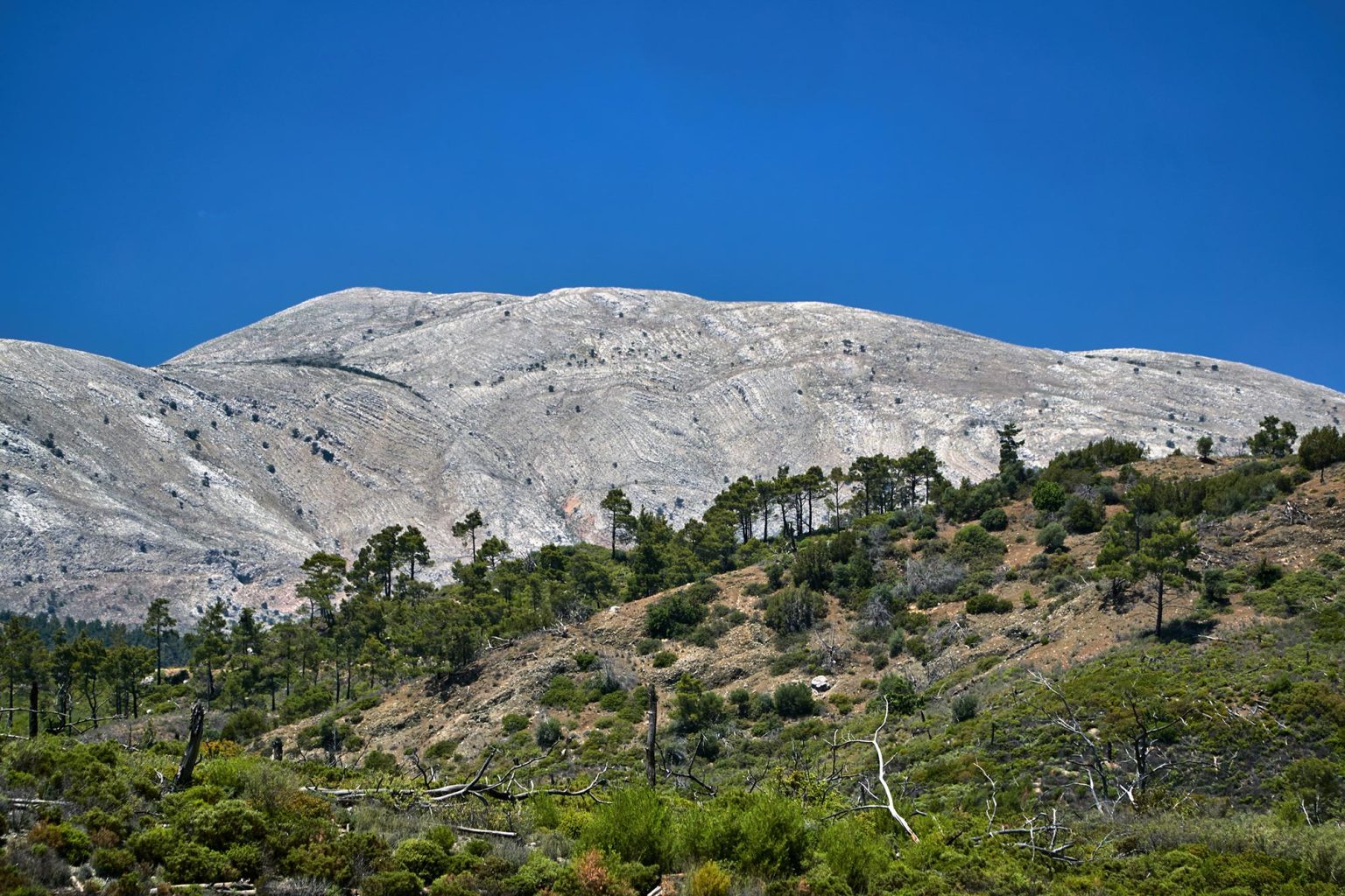 Bird’s Eye Burn Scars: Scorched Devastation on the Greek Island of Rhodes