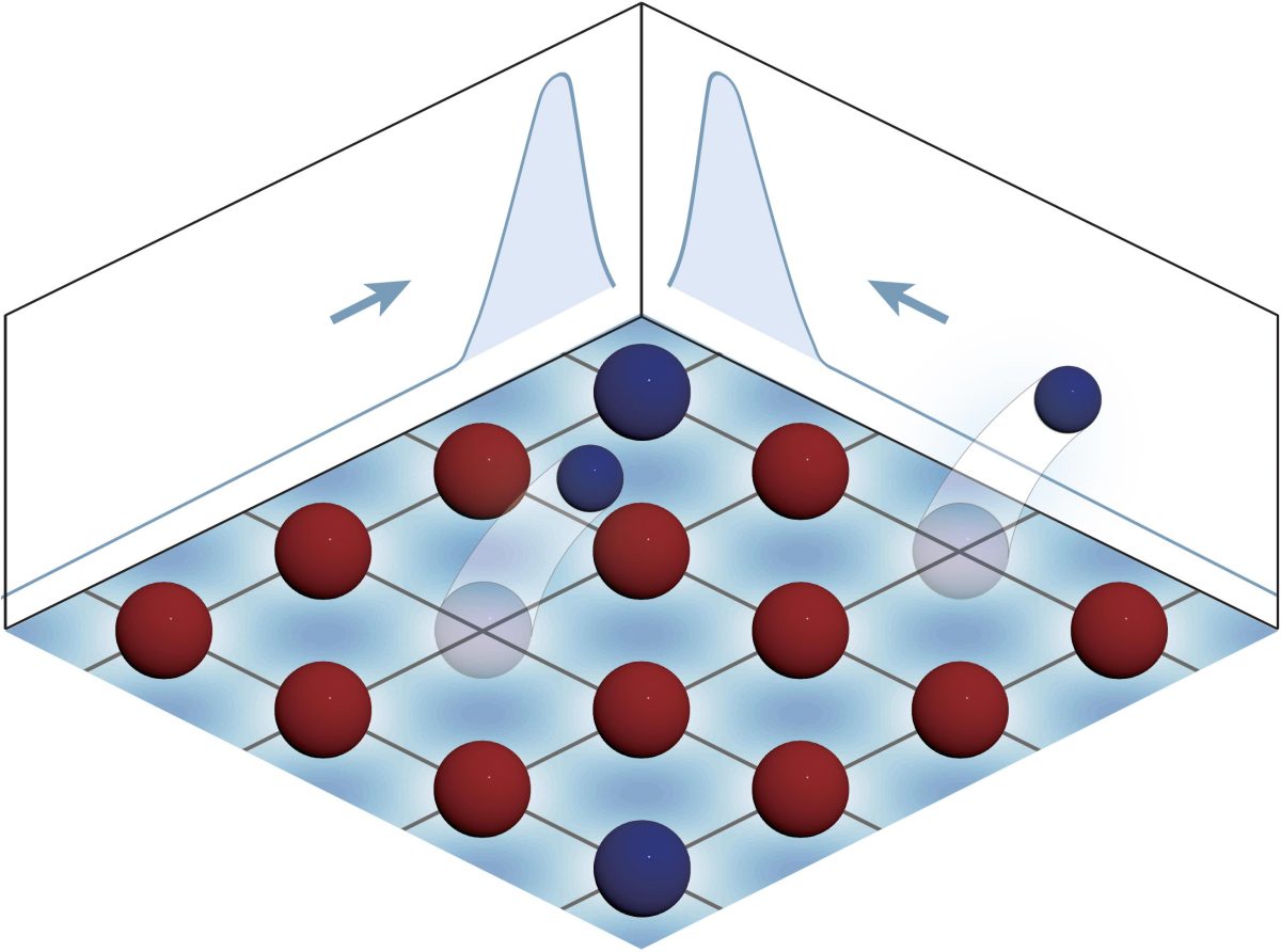 Quantum Breakthrough: Ultracold Fermions Unveil Exotic Skin Effect in 2D