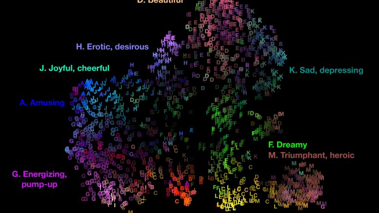 Watching Music Move Through the Brain