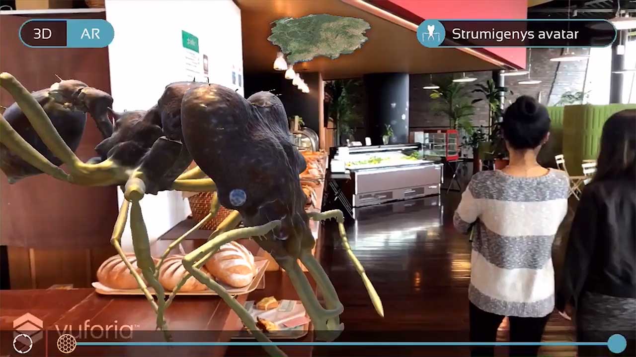 Ants the Size of Lions: Augmented Ants [Video]