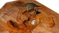 Meet the Massive Australotitan, the “Southern Titan” – Australia’s ...