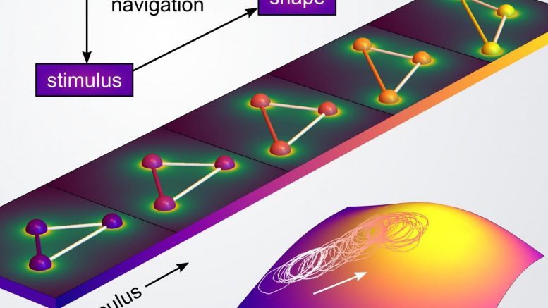 Yale Engineers Develop a Shape-Shifting Navigation Device for the ...
