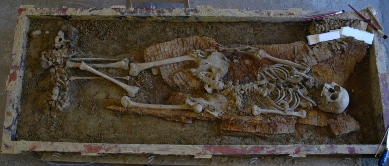 1,400-Year-Old Mysterious Origins of the Avar Elite Elucidated With ...