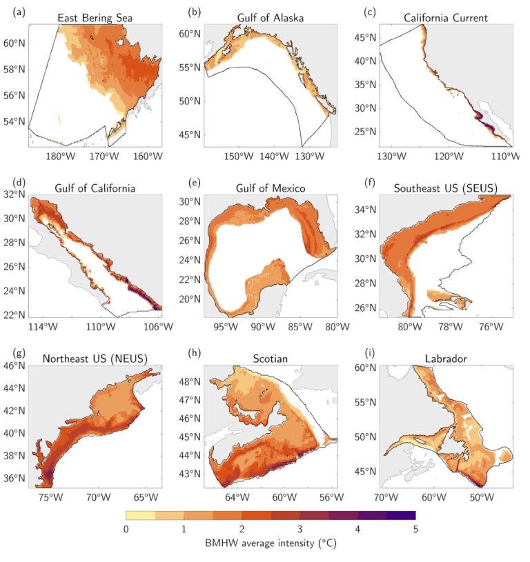 Deep Impact: Heat Waves Happen at the Bottom of the Ocean Too