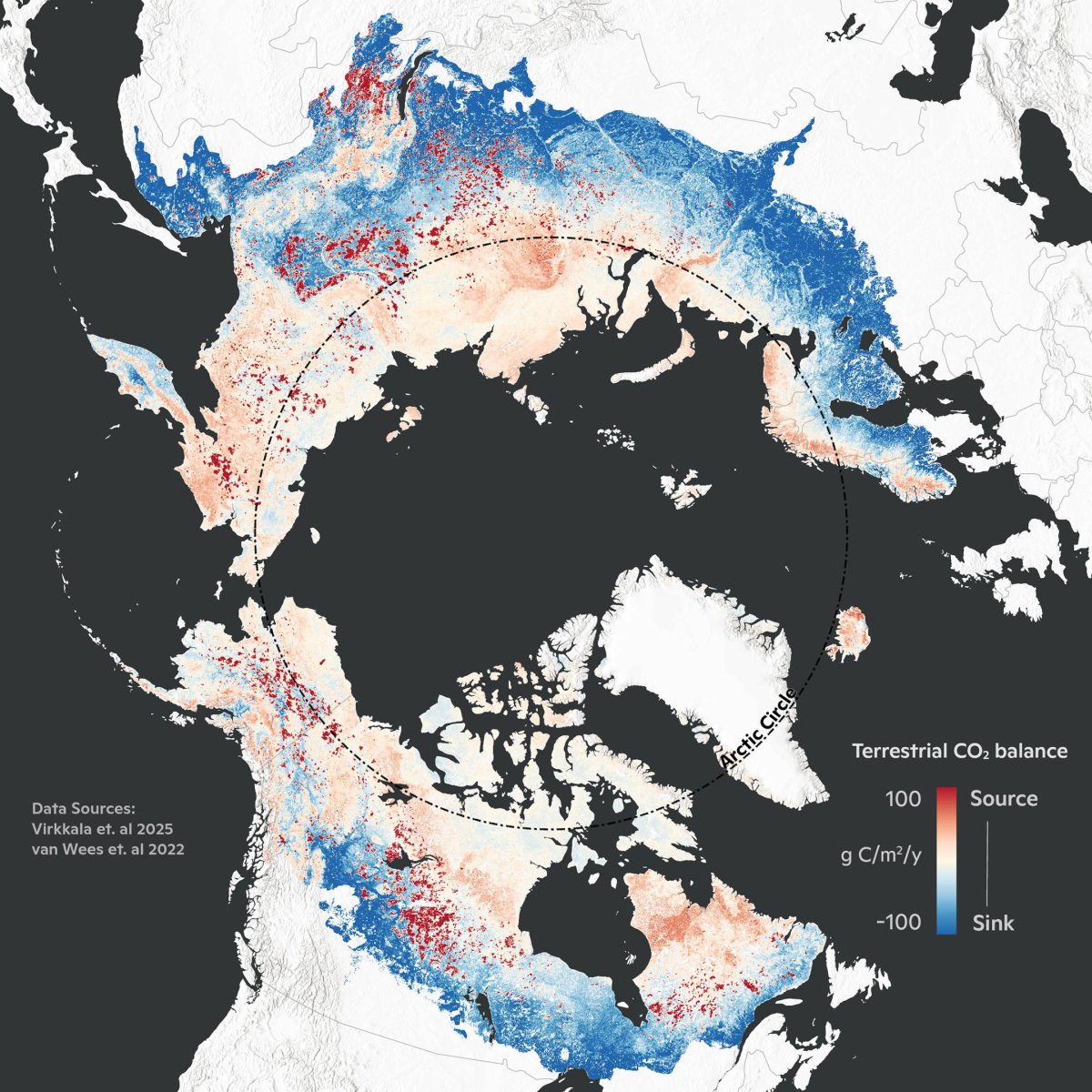 Thawing Permafrost Sparks Massive Carbon Release in the Arctic