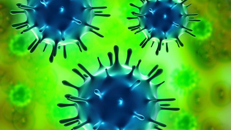 Highly Pathogenic Avian Influenza Outbreak: Watch Out for These "Super ...