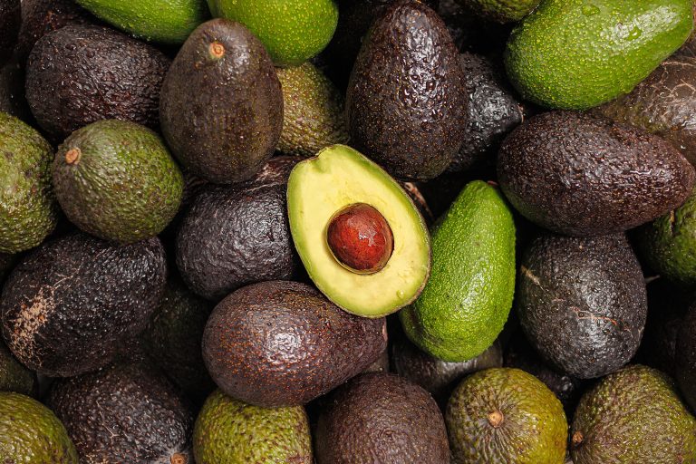 How Ancient Farmers Engineered the Avocados We Eat Today