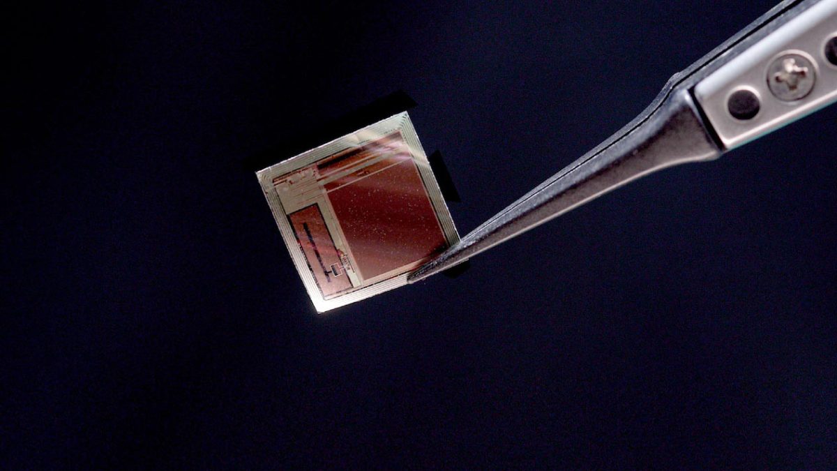 New Paper-Thin Brain Implant Could Transform How Humans Connect With AI