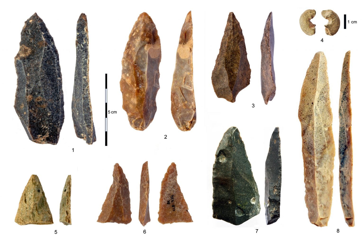 Earliest Modern Artifacts in Europe – Blade-Like Tools and Teeth ...