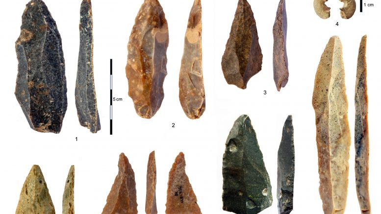 Prehistoric Cave Art: Neanderthals Indeed Painted Andalusia’s Cueva De ...