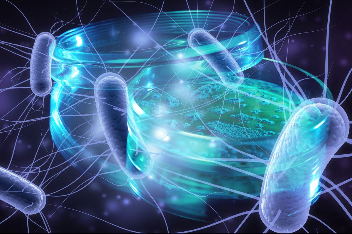 Revolutionary “Material Maze” Could Prevent Bacterial Infections