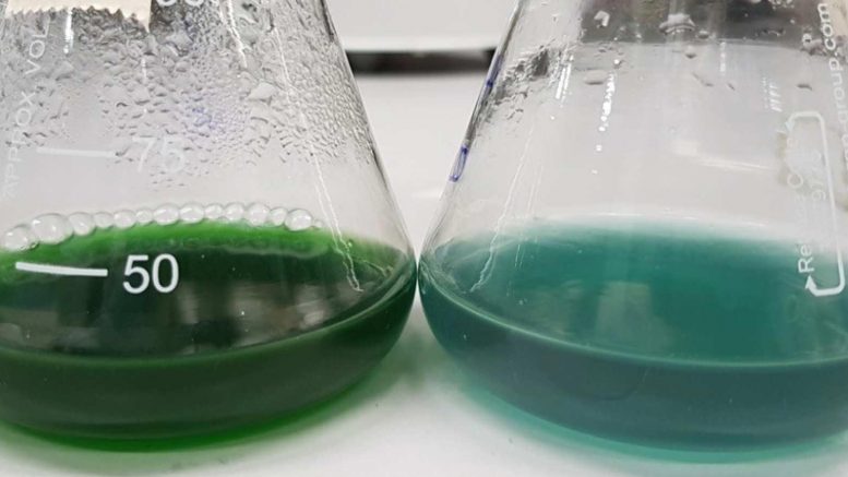 Cell Factories: Genetically "Switching On" Bacteria to Produce High ...