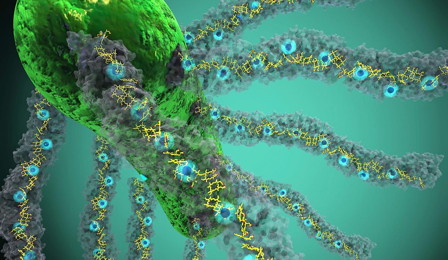 Yale Scientists Discover That Light Accelerates Conductivity in Nature ...