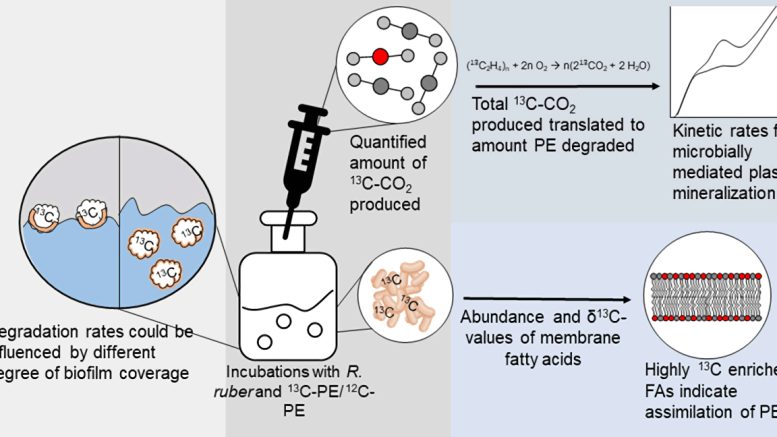 The Perfect “Pathogen” Storm – Deadly Bacteria Is Adapting to Plastic