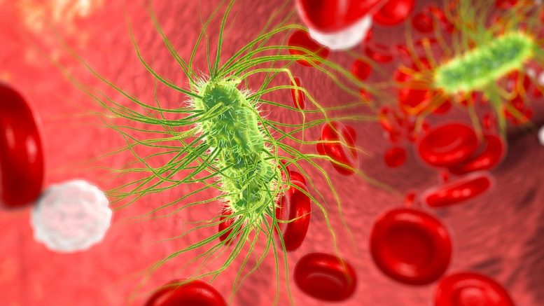 Sea Stars May Be “Drowning” – Organic Matter, Bacteria Doom Starfish to ...