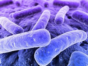 Human Presence Increases Indoor Bacteria