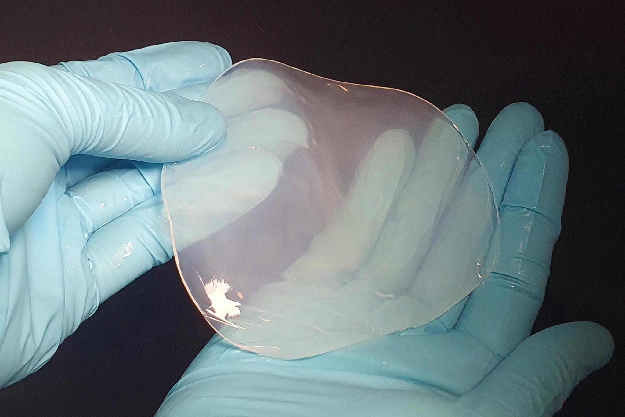 Next-Gen Biofactories: How Tiny Bacteria Could Revolutionize the ...