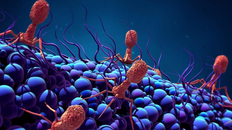 Study Provides Evidence That Viruses Can Have Immune Systems