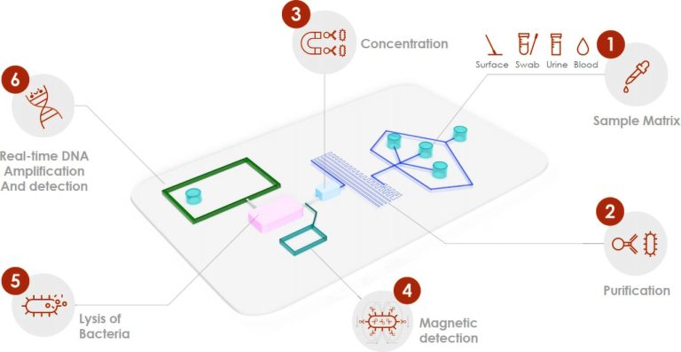 Bactometer: New Intelligent Device Detects Multi-Resistant Bacteria (in ...