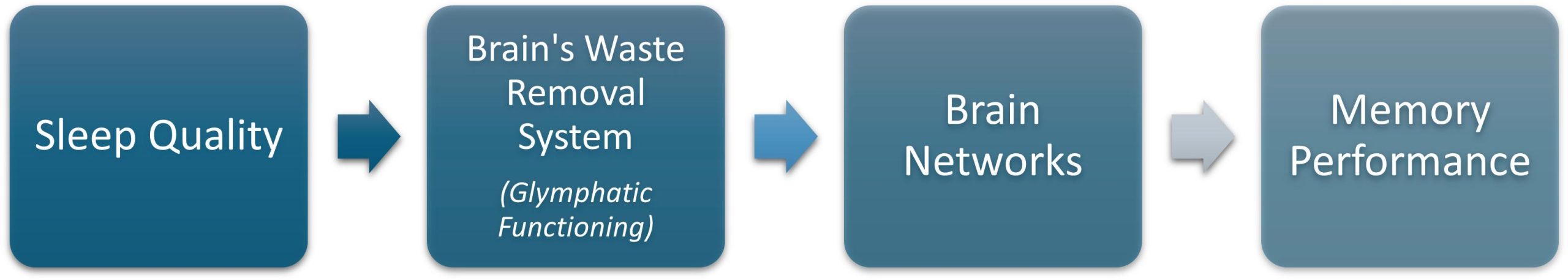 Researchers Reveal What Happens to Your Brain When You Don’t Get Enough ...