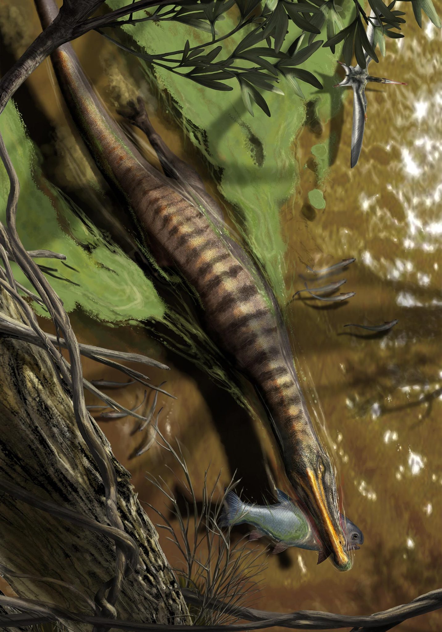 Dense Bones Allowed Spinosaurus – The Biggest Carnivorous Dinosaur Ever ...