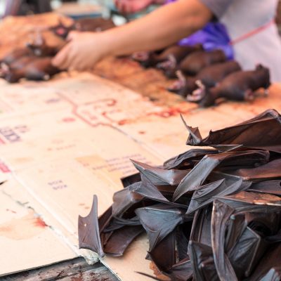 Scientists Trace Earliest Cases of COVID-19 to Huanan Seafood Wholesale ...