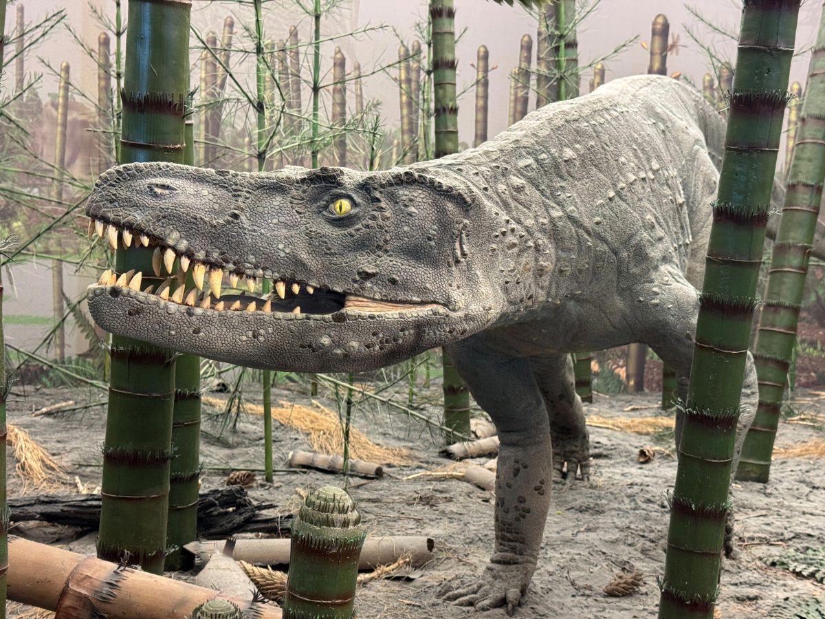 252-Million-Year-Old Fossils Reveal Secrets of Triassic Life