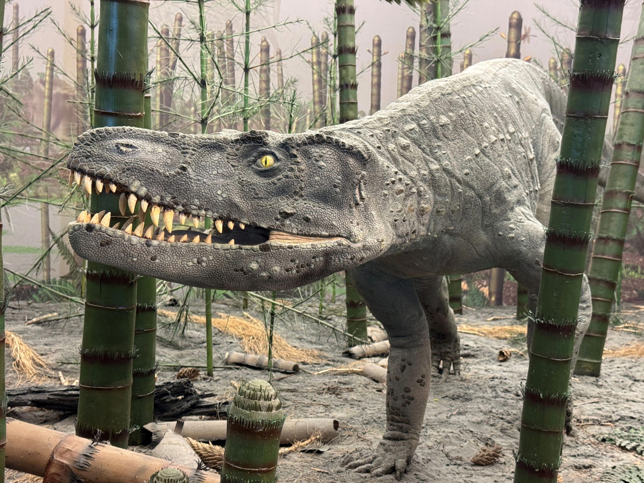 252-Million-Year-Old Fossils Reveal Secrets of Triassic Life