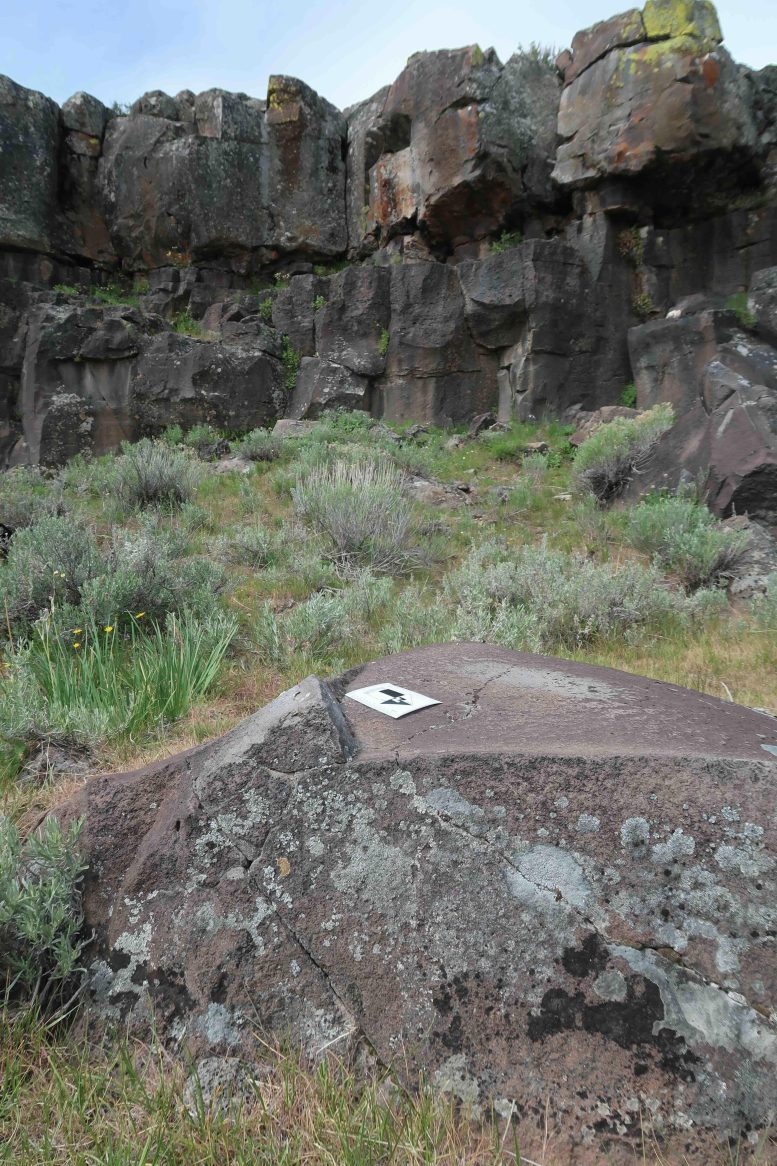 Archaeologists Discover Forgotten Foods Hidden in 15,000-Year-Old Kitchens