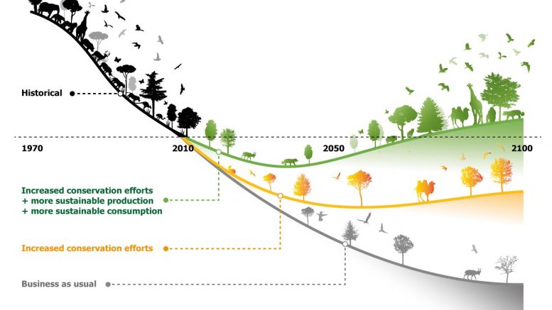 The Most Biodiverse Places on the Planet: Scientists Discover Secret ...