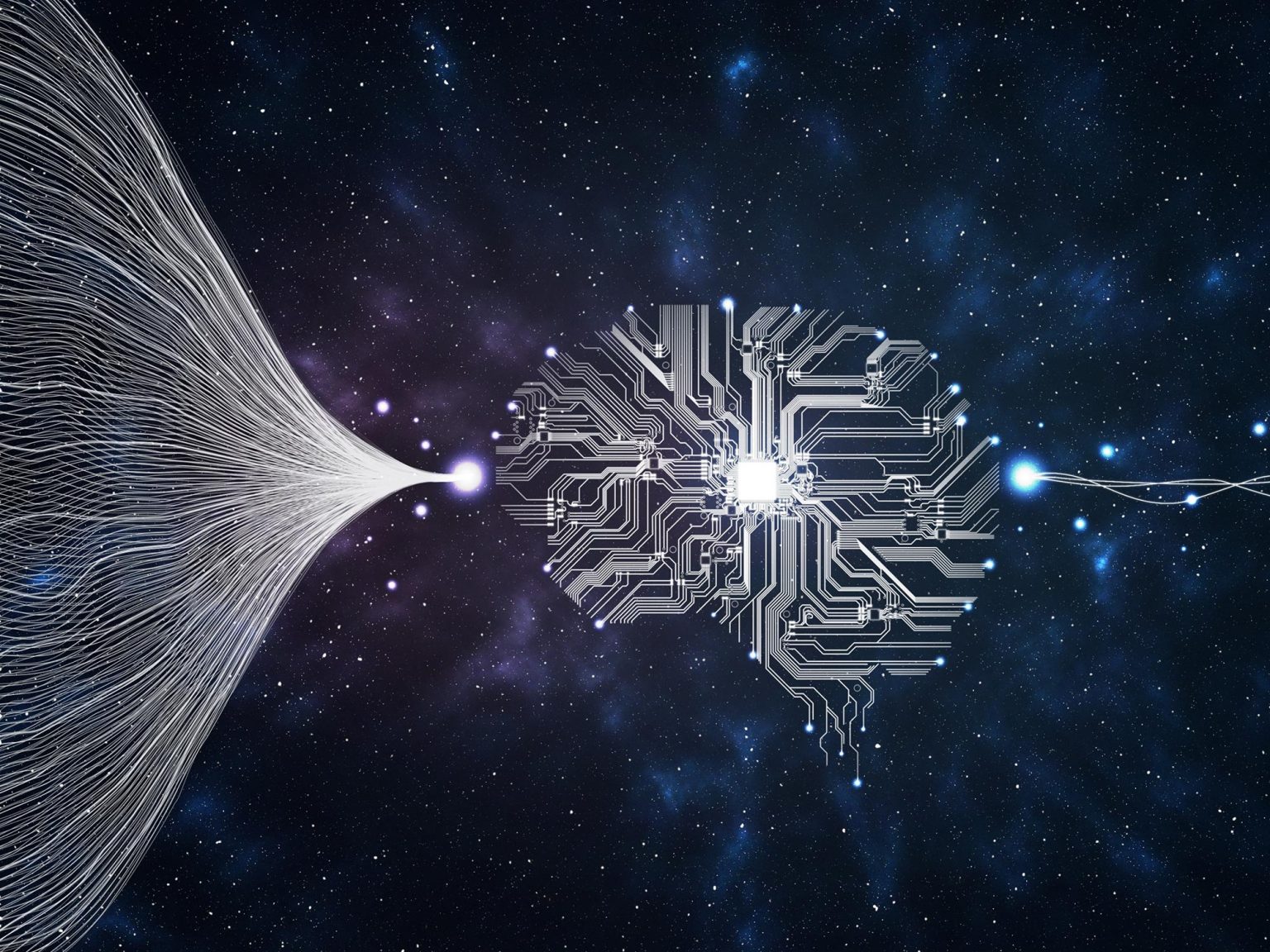 AI Use Potentially Dangerous “Shortcuts” To Solve Complex Recognition Tasks
