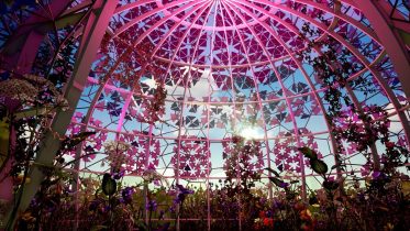 Shapeshifting Structures: Can Buildings Evolve Like Organisms?