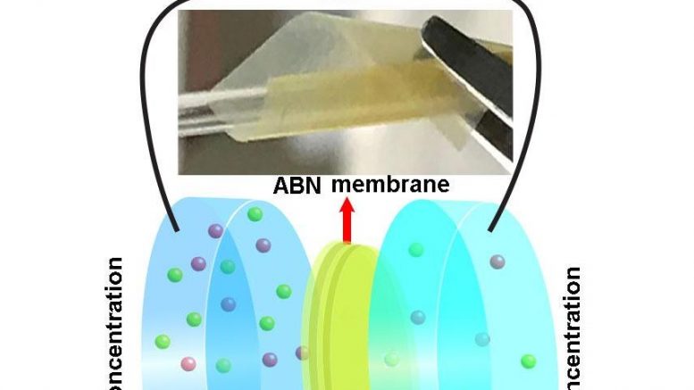 Breakthrough in Stabilization of Bio-Inspired Solar Energy Harvesting ...