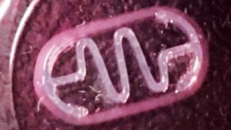 Remote Controlled Cockroach Biobots