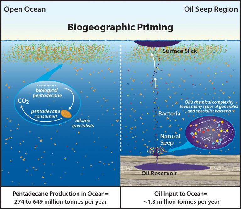A Surprising Cycle: Researchers Discover an Immense Hydrocarbon Cycle ...