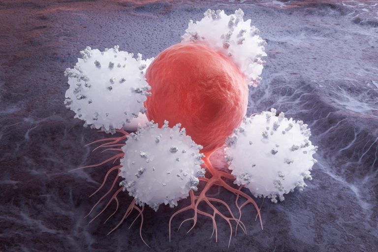 Scientists Have Found a Way To Feed Immune Cells Without Fueling Cancer