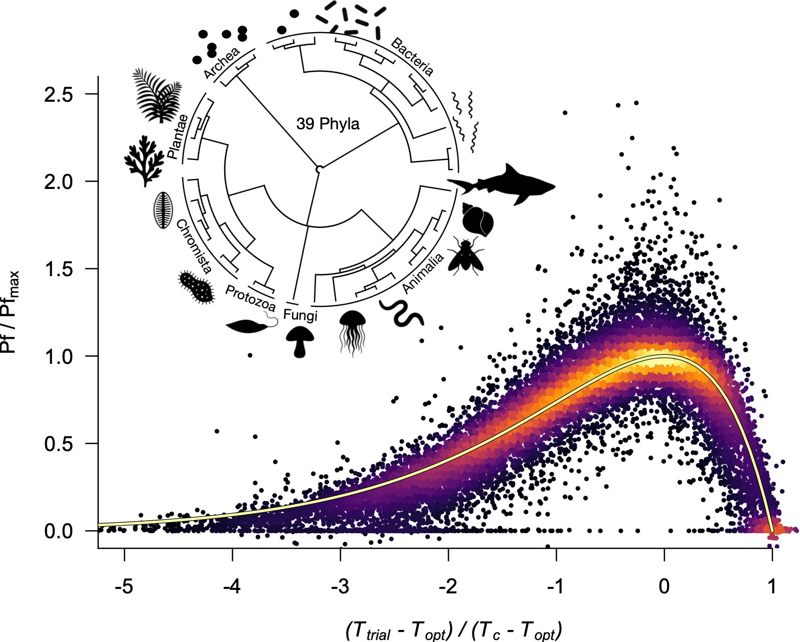 Scientists Have Discovered a Universal Rule That Shackles Evolution