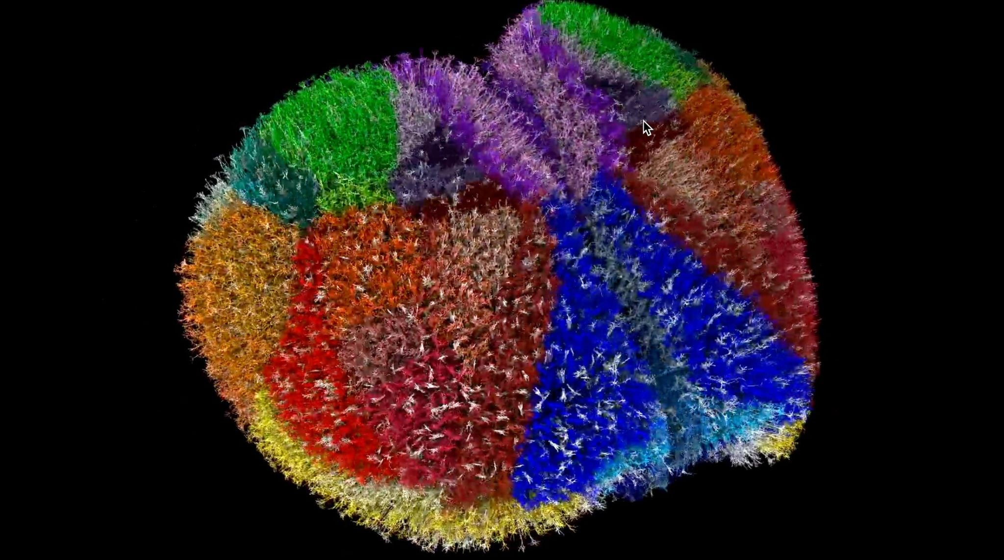 Scientists Built a Digital Mouse Brain and It’s Wildly Realistic