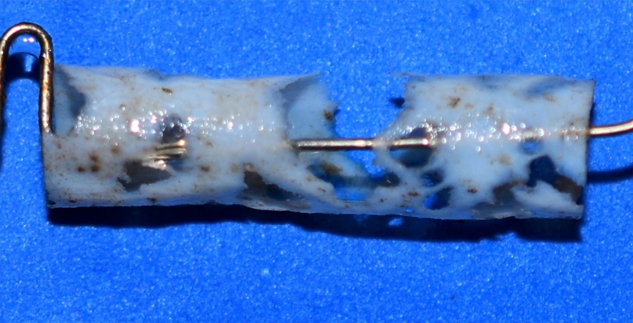 The Surprising Truth: How Long “Biodegradable” Straws Last in Ocean Waters