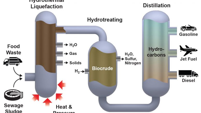 Bacteria May be the Key to New Biofuel Technology