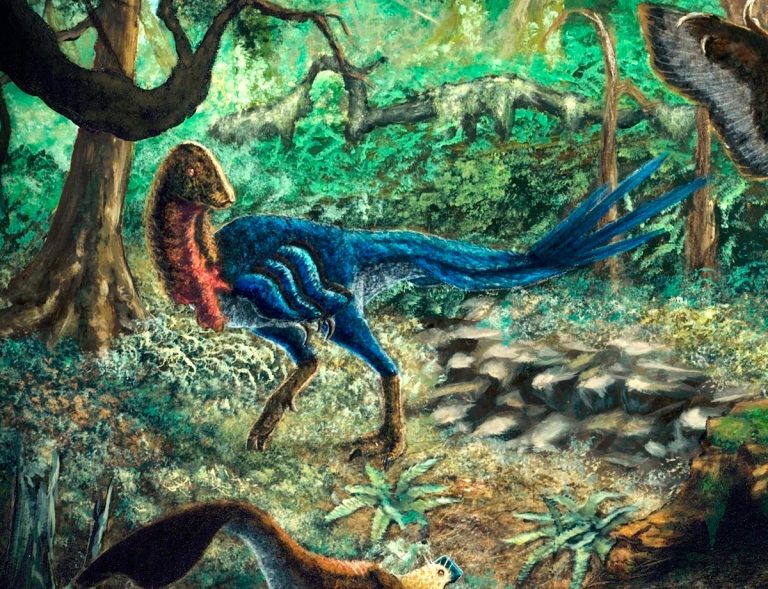 Newly Discovered “Hell Chicken” Species Shakes Up Dinosaur Extinction ...