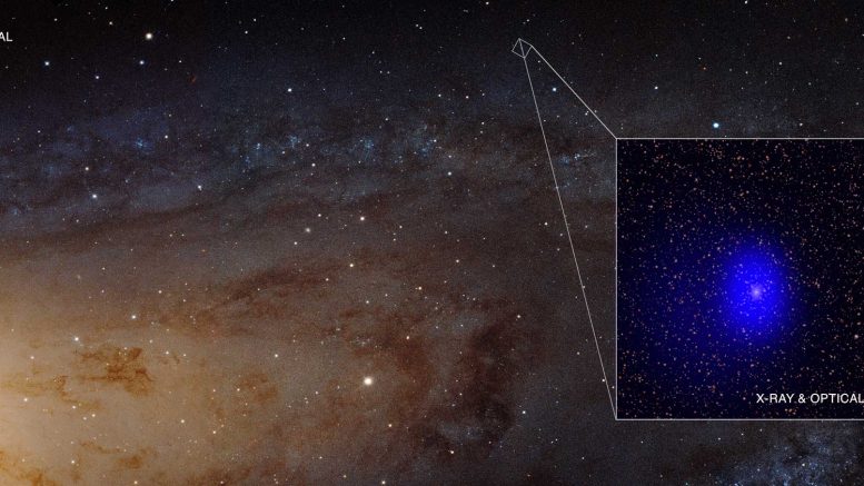 Chandra Data Reveals 26 New Black Hole Candidates in M31