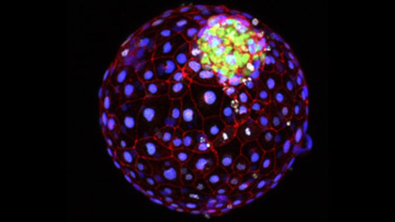 Latest Biology News & Discoveries: Cutting-Edge Research in Life ...