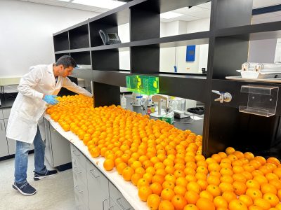 A New Superfruit? Scientists Discover Simple Trick To Make Blood ...