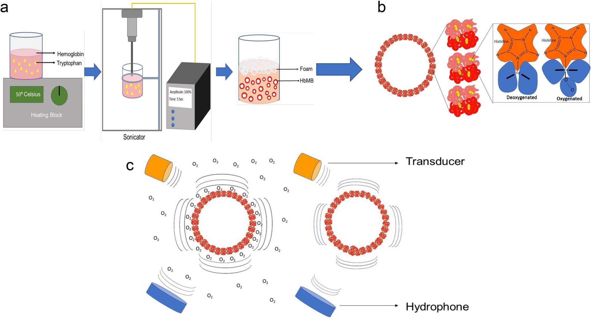 Blood Microbubbles To Acoustically Detect Oxygen Levels