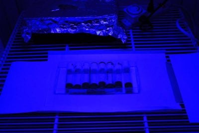 Be Careful of Blue Light – Damage Increases With Age