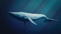 Sound Provides New Insight Into the Lives of Blue Whales – The Largest ...