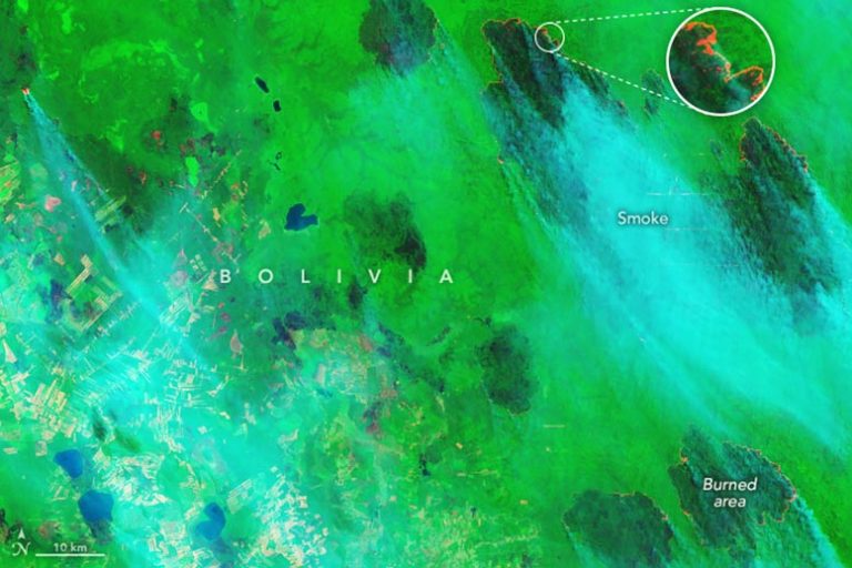 Smoke Over South America: A Continent Confronts Catastrophic Wildfires