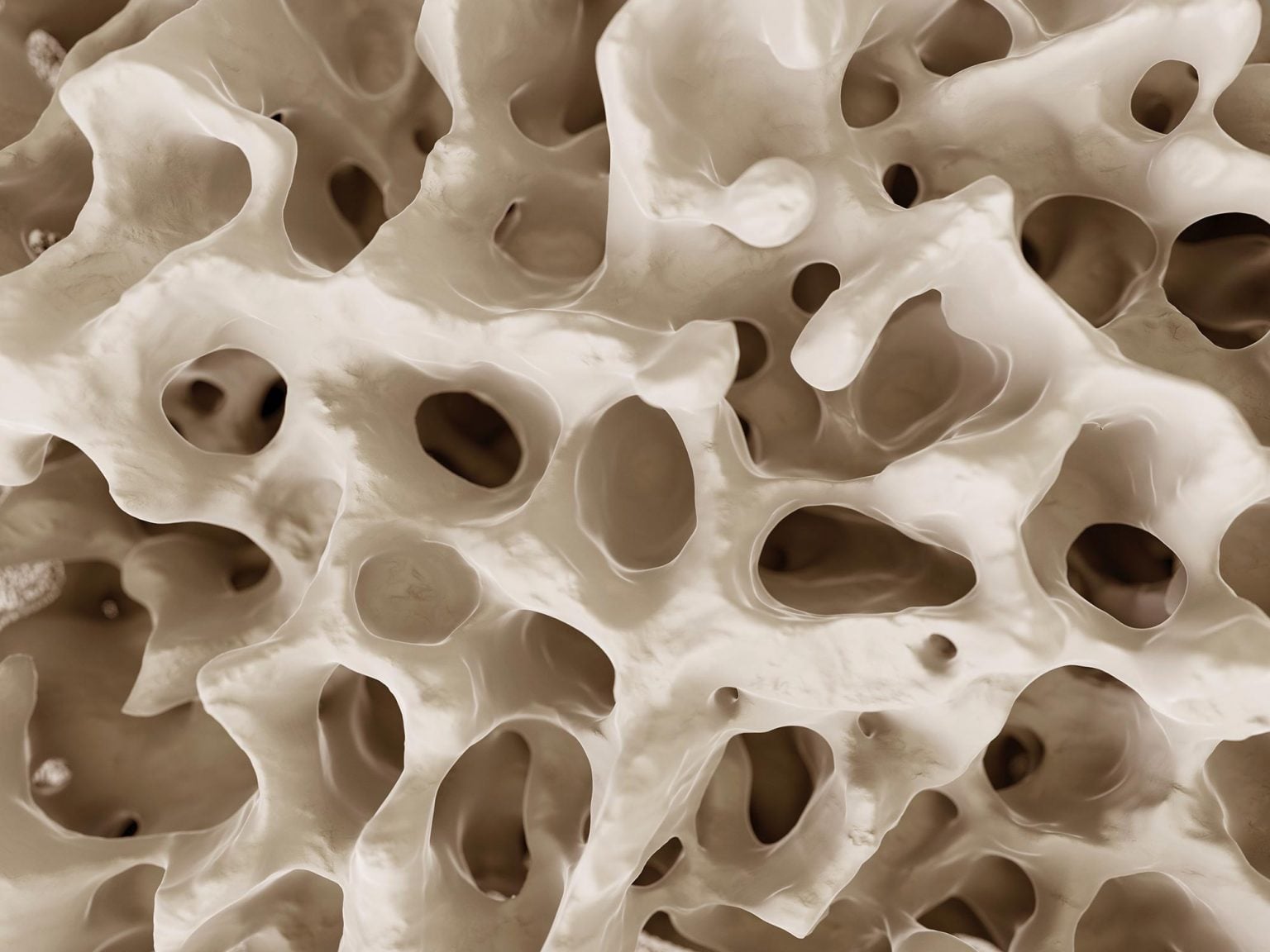 Batteries Mimic Multilayer Geometry of Mammal Bones for Structural ...